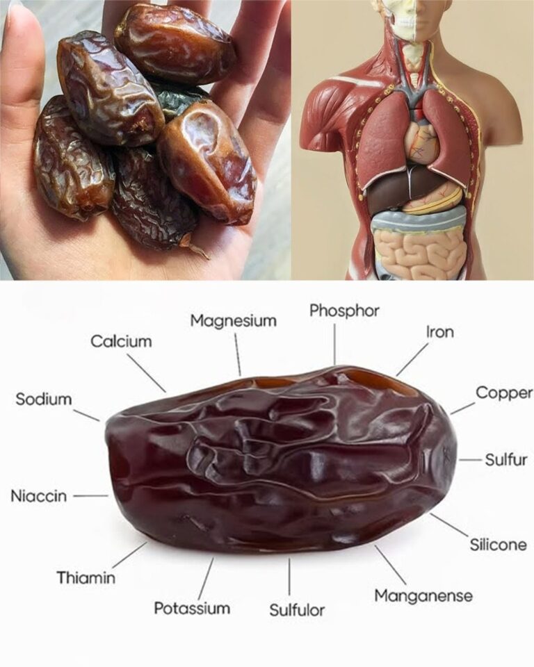 The Incredible Benefits of Dates: A Nutrient-Packed Superfood – hair cut